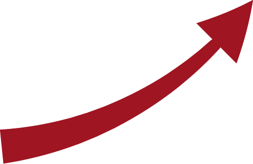 Micro-Sculpt & Lift Therapy | Aurella Botanica